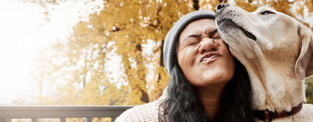 Fall Into Energy Savings with These 5 Tips – UniSource Energy Services